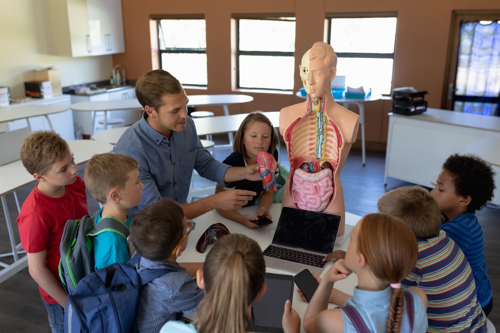 Primary – TESOL Australia